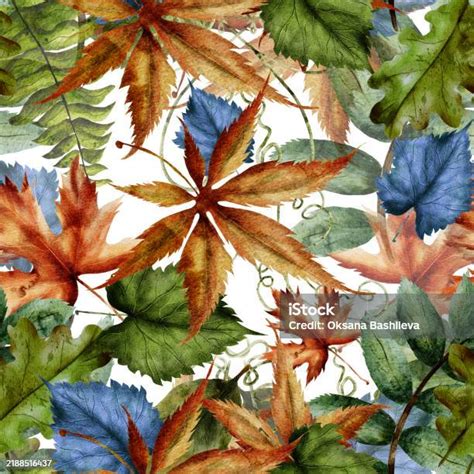 나무 잎이 있는 완벽 한 수채화 패턴입니다 린든 참나무 사시나무 고사리 사실적인 스타일의 흰색 배경에 그림 초대장 카드 식탁보