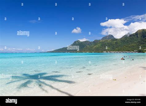 Temae Beach Moorea Isole Della Società Polinesia Francese Foto Stock