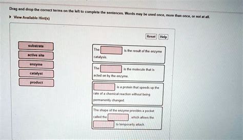 Drag And Drop The Correct Terms On The Left To Complete The Sentences Words May Be Used Once