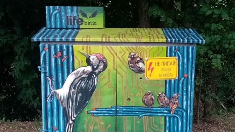 ЧЕЗ Разпределение се грижи за живота на птиците и подобрява градската среда България БНР Новини