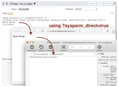 UI PAGE Script Custom ServicePortal Io