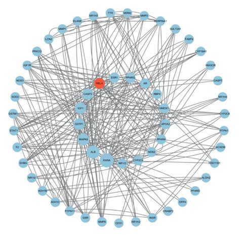 A Cytoscape Treated Protein Interaction Network B The Top Ten Download Scientific Diagram