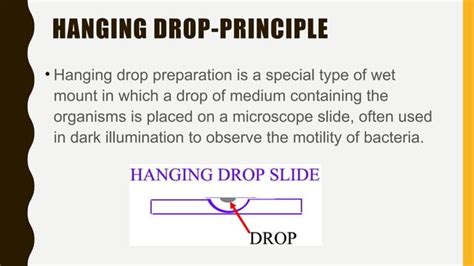 Hanging Drop Method Microbiology Kriparaghunathan Pptx