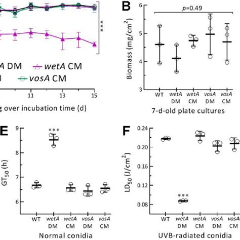 Essential Versus Null Role Of Weta Versus Vosa In Asexual Development
