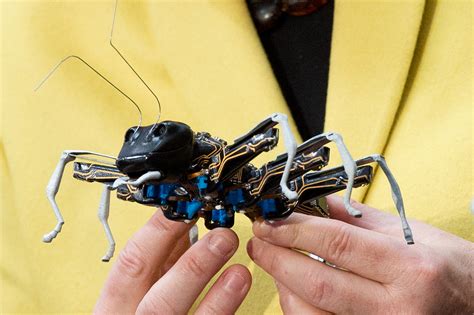 How Swarms Of Autonomous Insect Robots Could Help Explore Other Planets