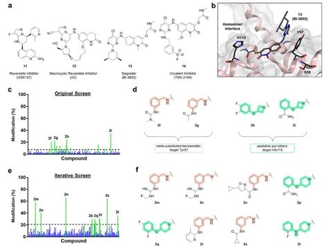Bcl6 Hits Validated And Expanded Upon With Iterative Screen A