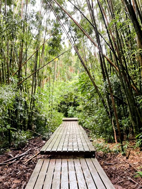 About Plate And Compass