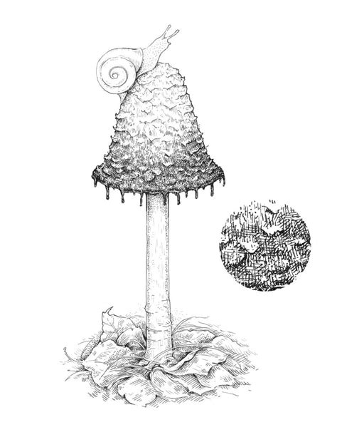 How To Draw A Mushroom Pen And Ink