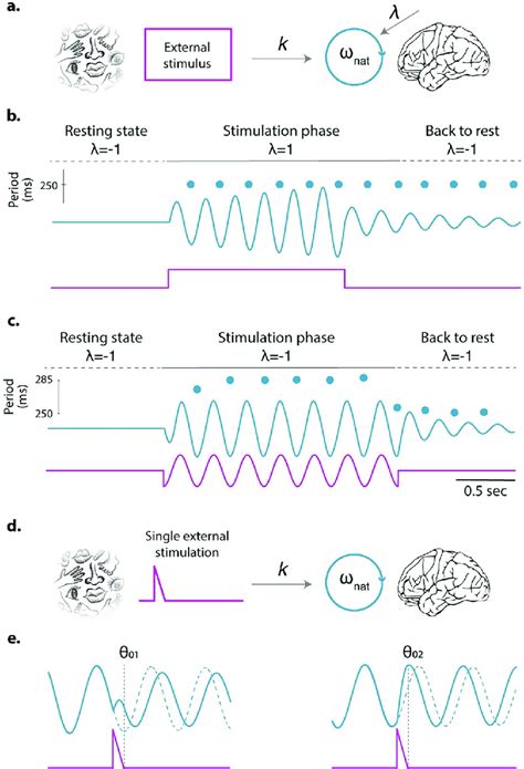 Simulations For Different Interactions Of The Neural Oscillator With An Download Scientific