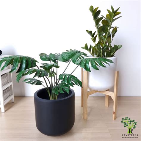 กระถางไฟเบอร์เคลย์ Fiberclay Pot รุ่น Capsule Column P016 Ramitrees รมิทรี