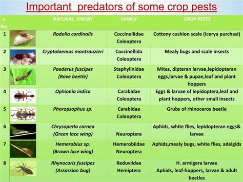 Classical Biological Control Pptx Agriculture Industries