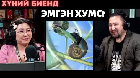 Элэг шимэгч эмгэн хумс Үдийн Хачир Нэвтрүүлэг ажлын өдөр бүр 16 15 хүрч байна Бүтэн үзэх