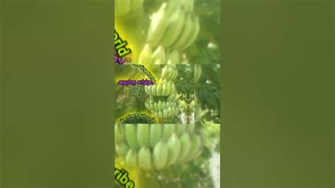 உங்களுக்கு சமாதானம் Tamil Christian Message Jesus Blessing World Youtube