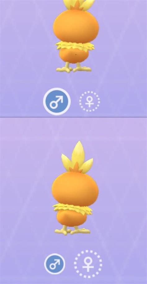 Probably My Favorite Gender Difference In Pok Mon R Thesilphroad