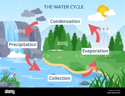 Definición Y Pasos Del Ciclo Del Agua Zzxo