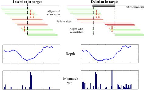 Principle Of The Indel Detection Algorithm Download Scientific Diagram