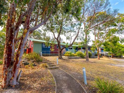 Anglesea Discovery Camp Best Adventure Camps In Victoria