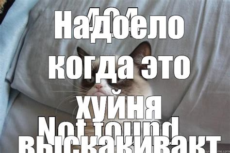 Создать мем угрюмый кот мем мем недовольный Real Grumpy Cat Картинки Meme