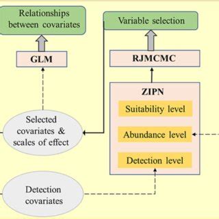 A Conceptual Diagram Of The Modeling Framework And Data Analysis Download Scientific Diagram