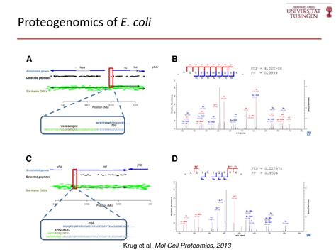 Ppt Principles Of Shotgun Proteomics And Proteogenomics Powerpoint