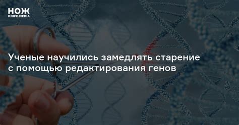Ученые научились замедлять старение с помощью редактирования генов — Нож