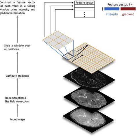 Overview Of The Segma Feature Extraction Framework The Input Test Download Scientific Diagram