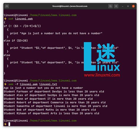 Linux教程：在 Awk 中使用 If Else 语句 Linux迷