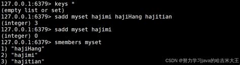 redis数据结构 set集合 redis set数据结构 csdn博客
