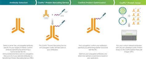 Cosmx® Custom Protein Barcoding Service Nanostring
