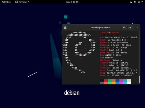 Most Popular Operating Systems In The World