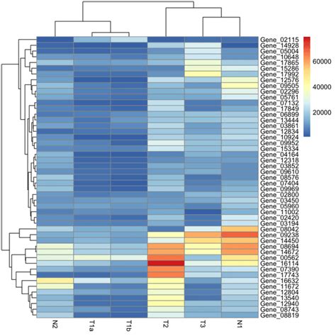Exploratory Data Analysis Machine Learning Engineering Fiveable