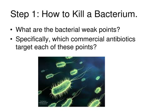 Ppt Antibiotics Powerpoint Presentation Free Download Id 25974