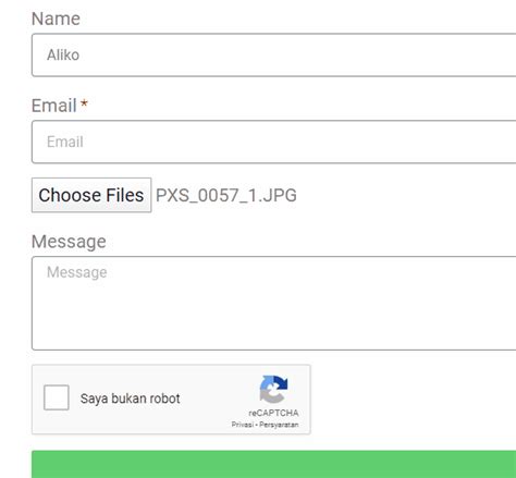 How To Add ReCAPTCHA To Your Elementor Form WPPagebuilders