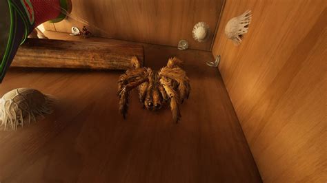 Grounded 2 Wolf Spider Locations