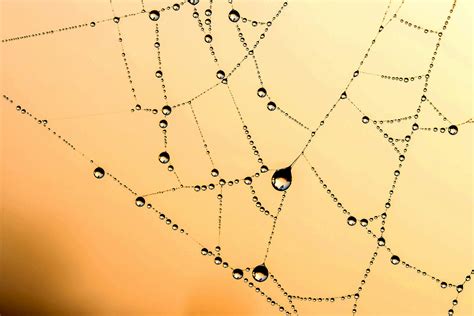 Data Integration Definition Techniques Tools And Benefits