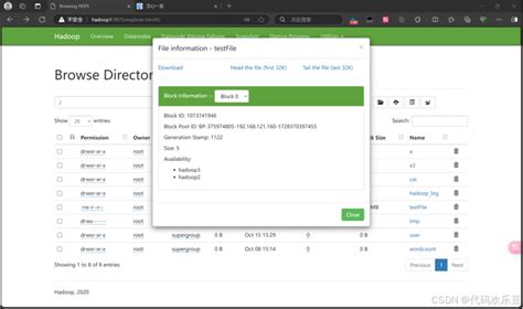 hdfs的java api操作 csdn博客