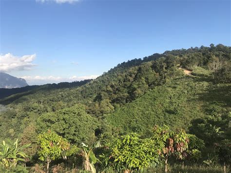 Bangkok Frame ผลิตกรอบรูปทุกชนิด แบบมืออาชีพ กรอบรูปคลื่นสวยๆ วาดโดยจิตกรฝีมือดี เสมือนภาพจริง