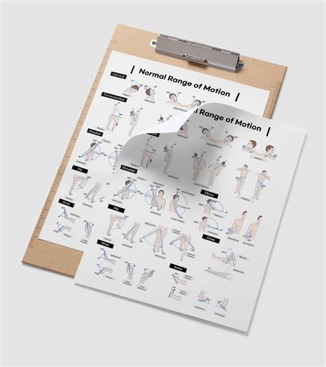 Range Of Motion Chart Printable Rom Reference Poster A4  Etsy Uk