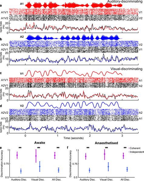 Auditory Visual Temporal Coherence Enhances Neural Coding In Auditory