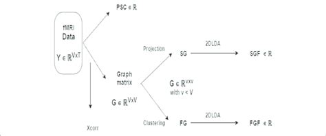 Illustration Of Fmri Feature Generation Pipeline From Bold Signal Download Scientific