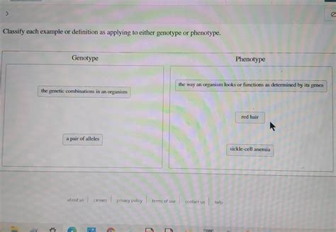 Solved Classify Each Example Or Definition As Applying To
