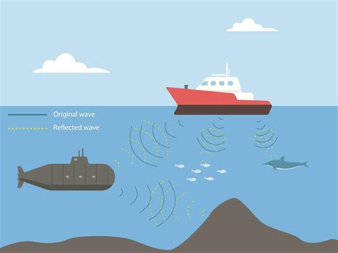 Bio Sonar Sound Detect Object Locate Echo Radar Ocean System 23586793 Vector Art At Vecteezy
