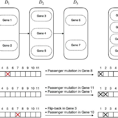 Two Types Of Moves We Use For Progression Model Proposal Download