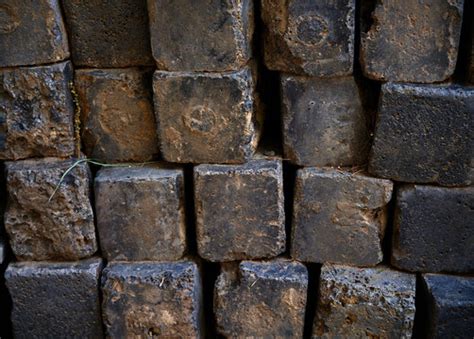 Pedding Bilder Durchsuchen 16719 Archivfotos Vektorgrafiken Und