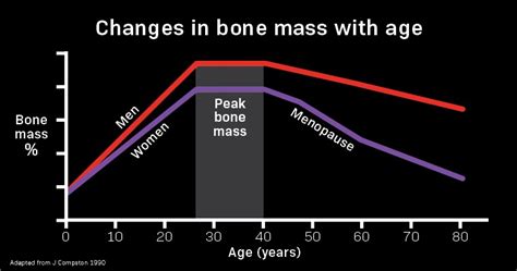 Building Your Bones For Life Arx