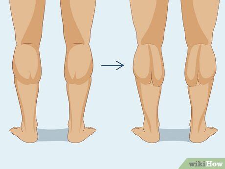 High Calves Vs Low Calves Pros Cons And Which Is Best