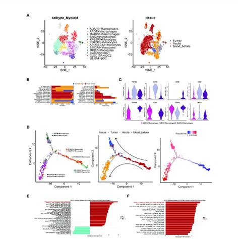 Characteristics Of Myeloid Cells In Distinct Tmes Of Ascites Tumor And
