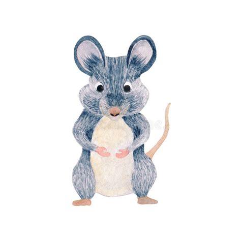 Watercolor Gray Mouse Fictional Character Field Mouse Hand Drawn