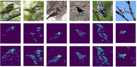 L2 Norm Of The Features Before And After Normalization Top Input