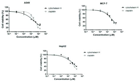 Dose Response Curves Obtained From Viability Assay A549 Mcf 7 And Download Scientific